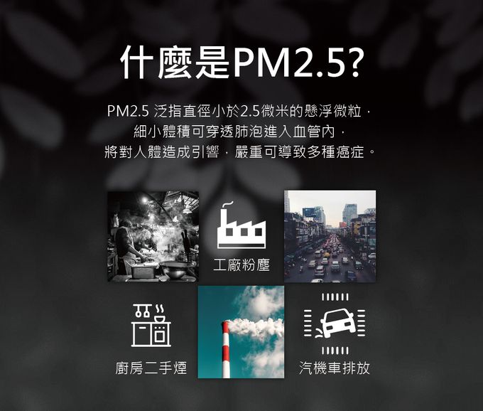 CSD中衛 - 醫療口罩-成人立體-PM2.5 防霾口罩(12片/盒)｜媽咪愛
