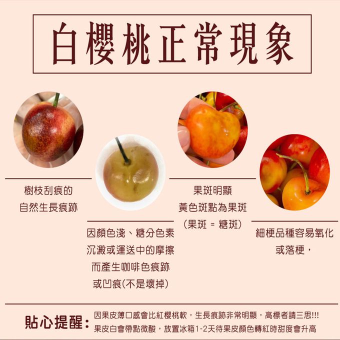 果子禮 - 華盛頓9.5R白寶石白櫻桃含箱重1kg (淨重850g)｜媽咪愛
