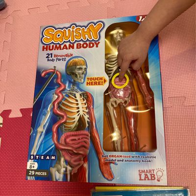 美國Smart Lab - Squishy Human Body 人體模型套組｜媽咪愛